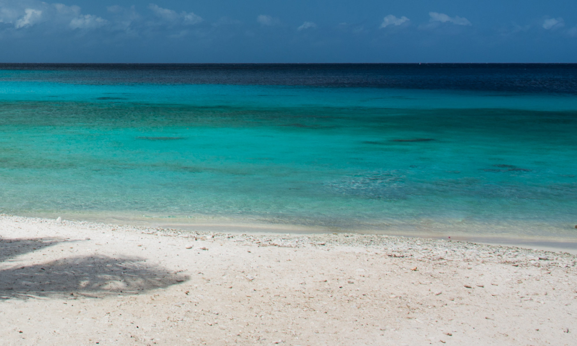 PlayaNorte.com – Playa Norte, Isla Mujeres. Mexico