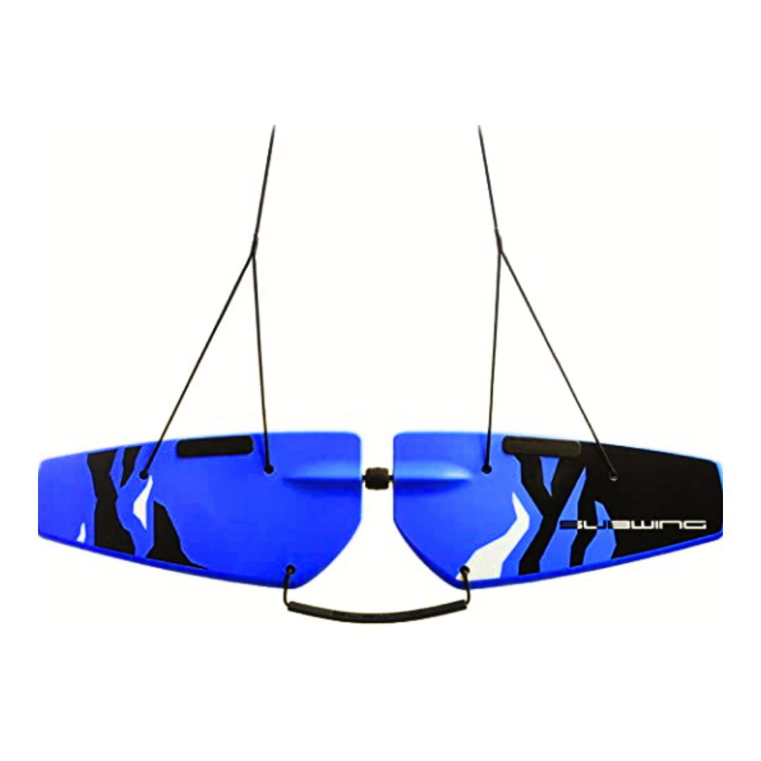 Wing Diving in Isla Mujeres – PlayaNorte.com